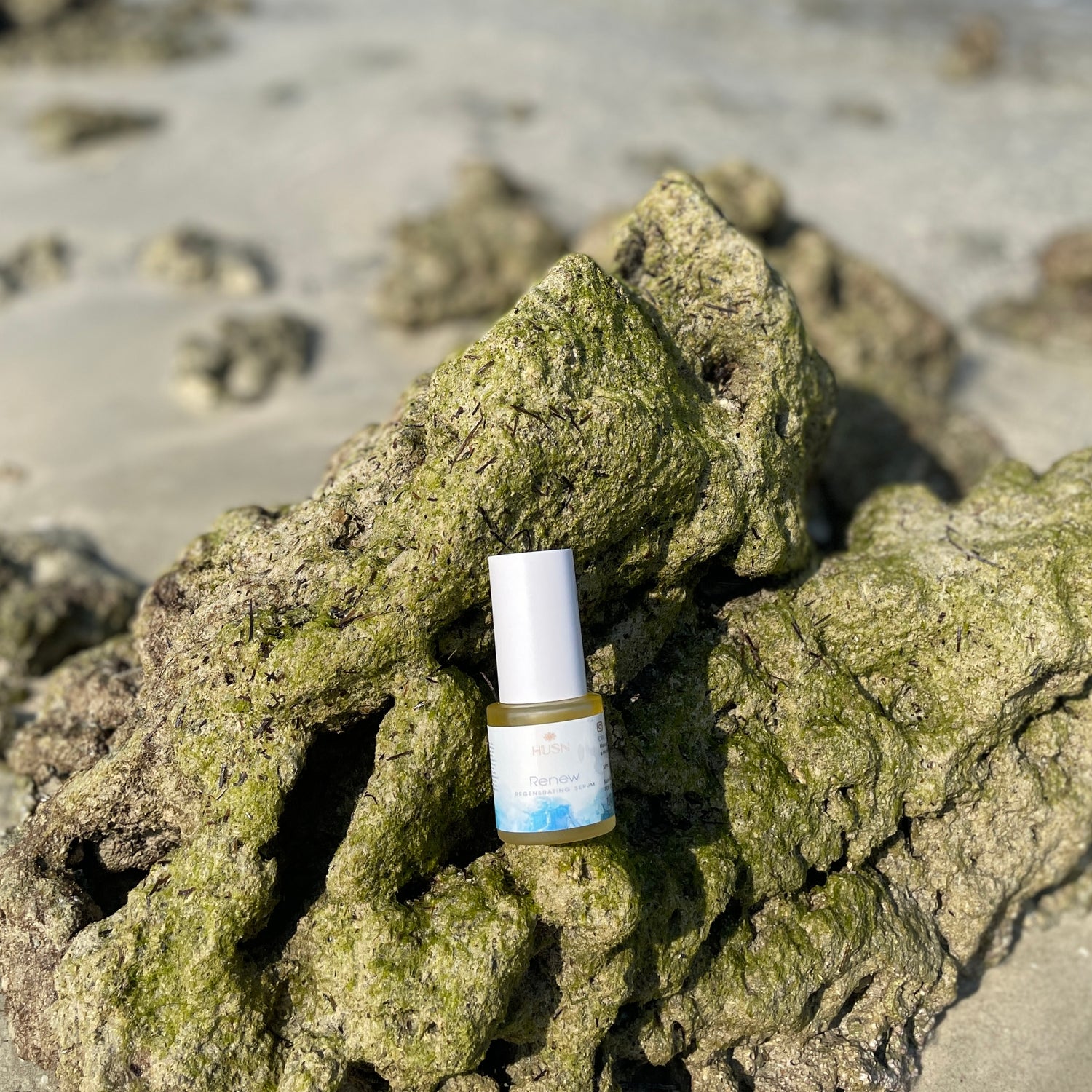 Eco Marine Algae extract – Husn Beauty
